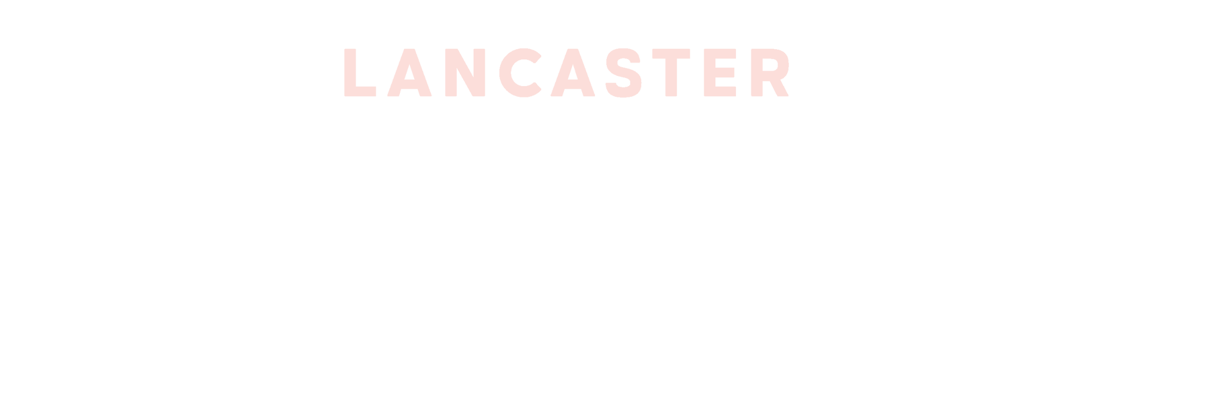 Fresh, Handcrafted Cupcakes from Lancaster, PA | Lancaster Cupcake